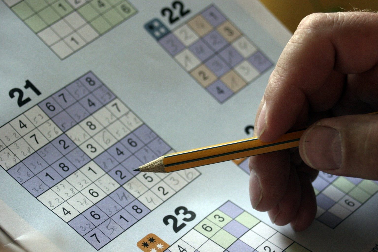 Brain Training Crossword Puzzles Or Sudoku Enhance Your Memory