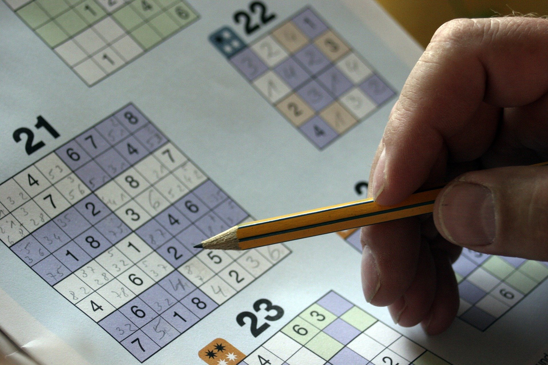 brain-training-crossword-puzzles-or-sudoku-enhance-your-memory